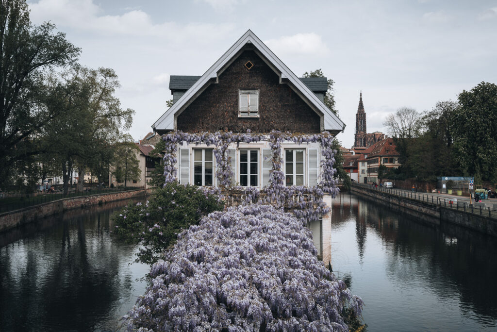 7 Best Strasbourg Walking Tours in 2025 (Local’s Guide)