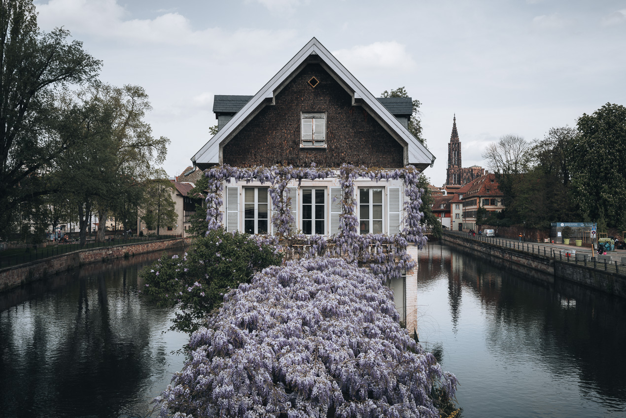 Top 3 Strasbourg Walking Tours in 2026 (Local’s Guide)