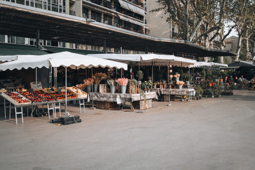 Is Montpellier Worth Visiting? 17 Reasons Why You Should!
