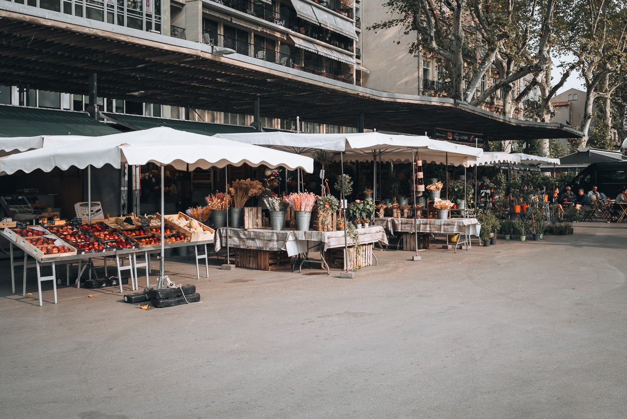 Is Montpellier Worth Visiting? 17 Reasons Why You Should!