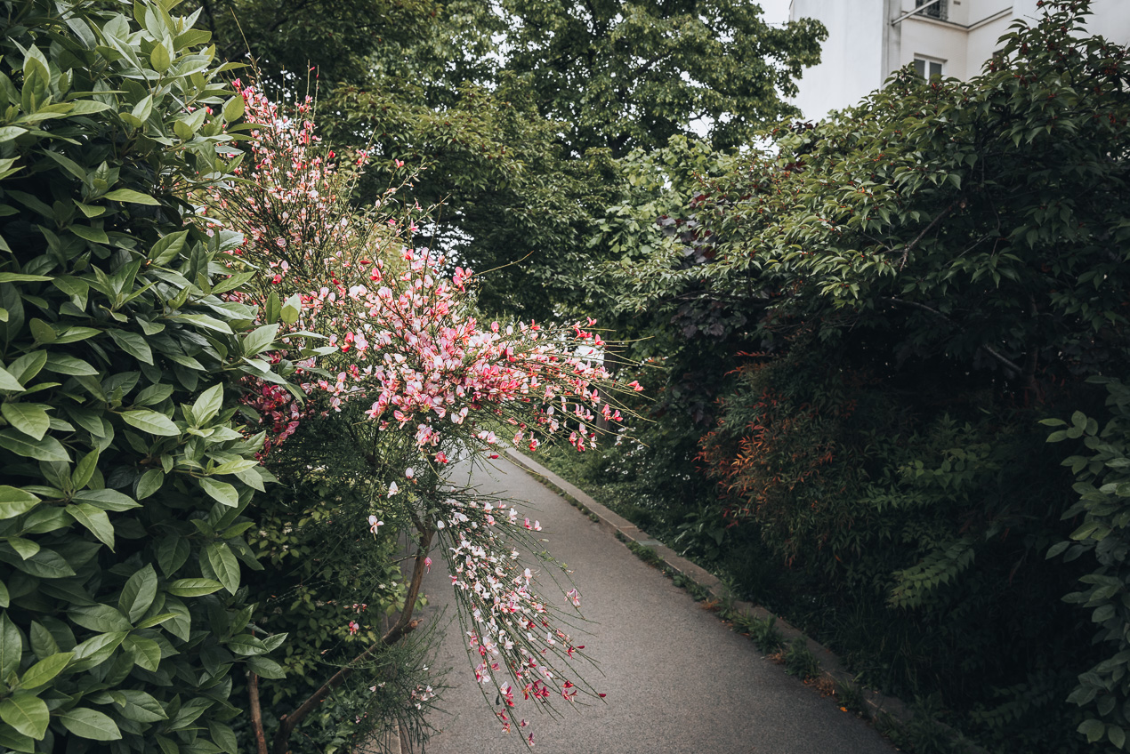 Why Do People Like Paris? And Why You Should Visit!