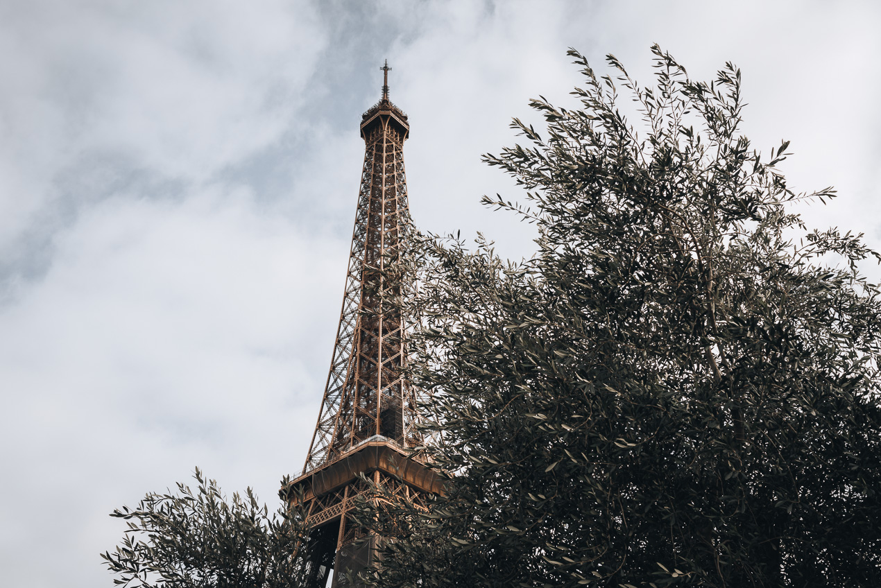 Is France Worth Visiting? 19 Reasons Why You Should!