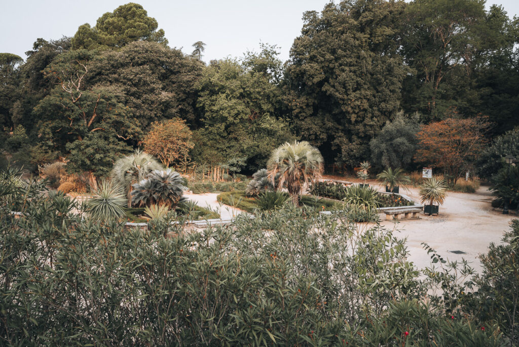 Montpellier’s Old Town: Top 18 Things to See and Do