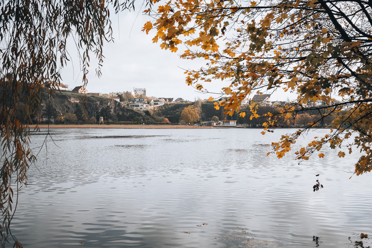 21 Incredible Things to Do in Dijon, France