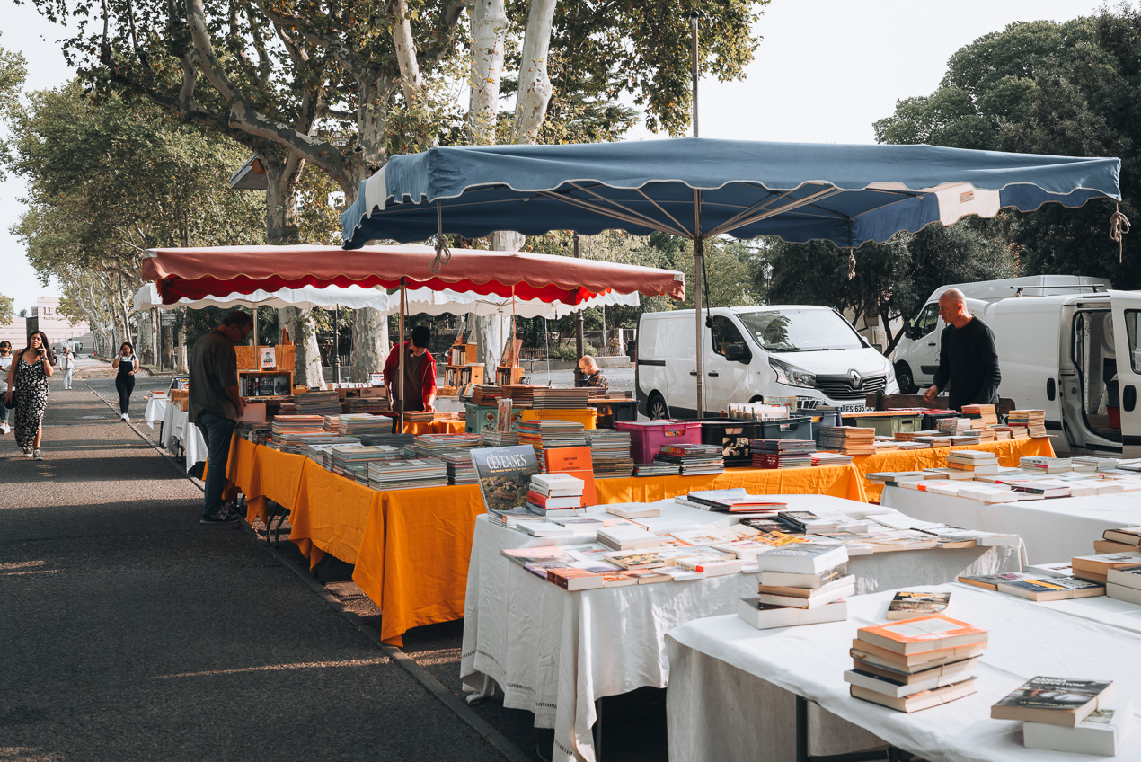 Montpellier’s Old Town: Top 18 Things to See and Do