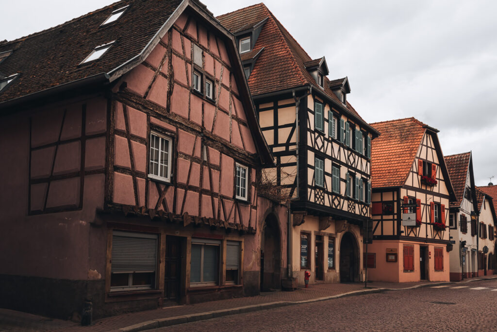 11 Incredible Alsace Tours in 2026 (A Local’s Guide)
