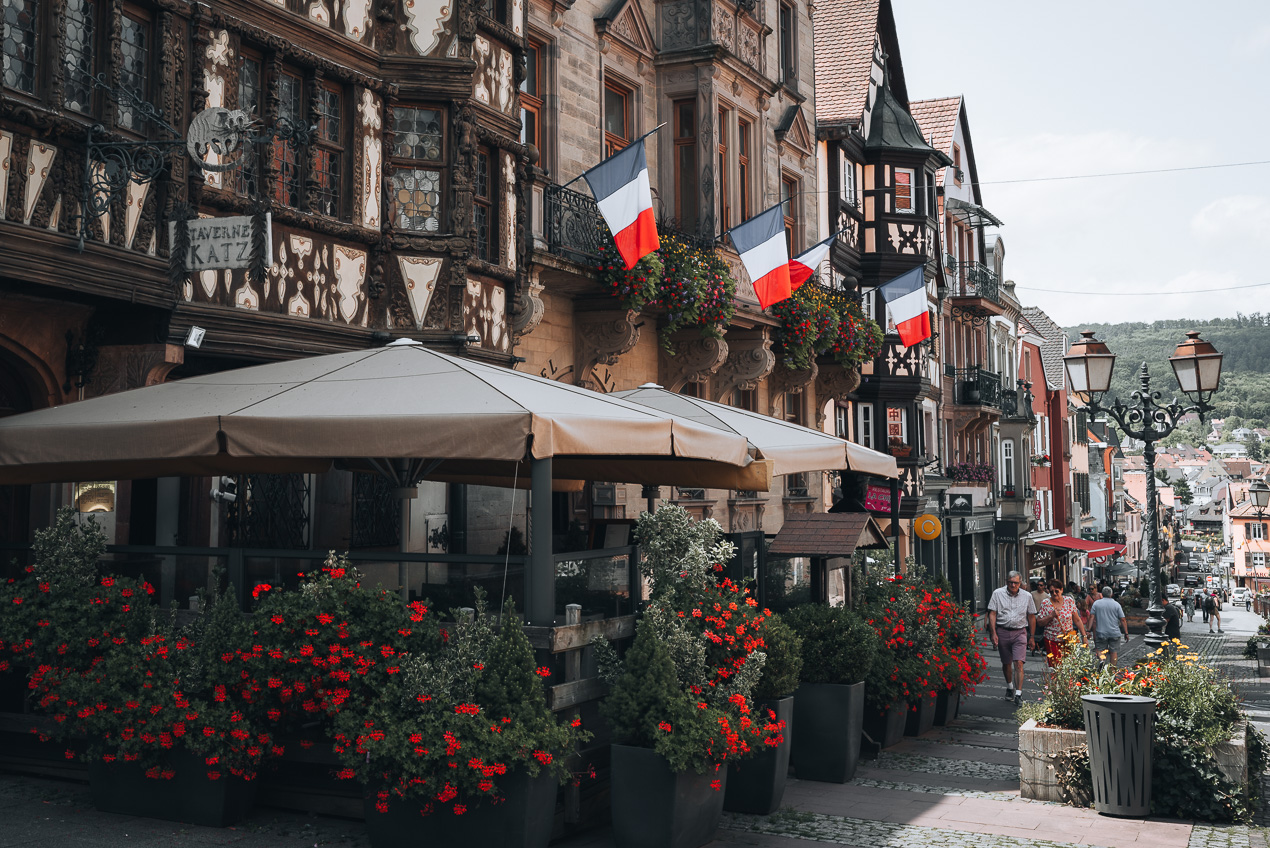 35 Incredible Pictures of Alsace to Inspire Your Trip