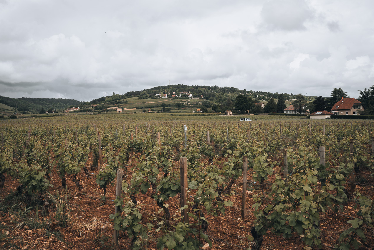 One Day in Beaune: The Perfect Itinerary (2026)