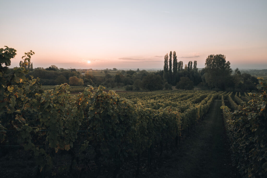 Alsace Travel Guides and Itineraries - Dabbling in Jet Lag